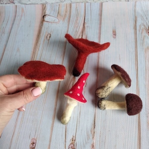 Newborn Felted Toadstool, Mushroom, Toadstool Prop, Felted Props ...