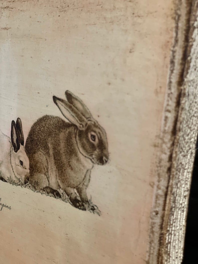 Vintage Rabbits - Etsy