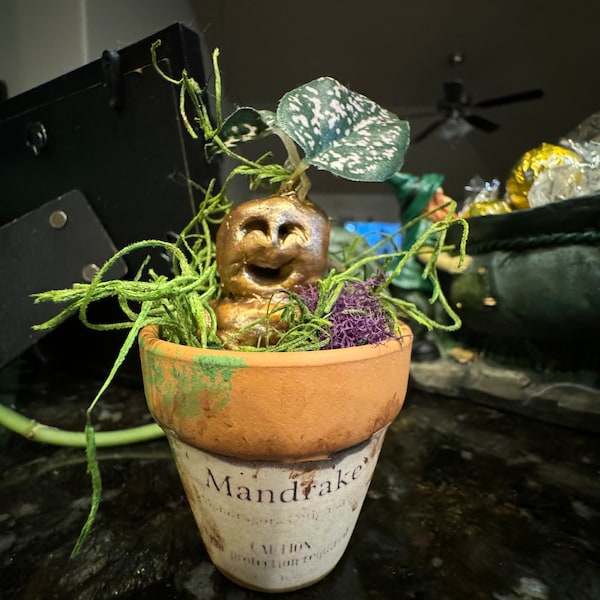 Mandrake Sculpture - Etsy