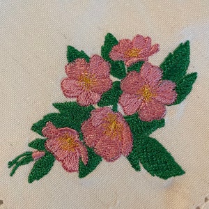 NEW Desert Rose Embroidered Napkins Complement Franciscan Collection ...