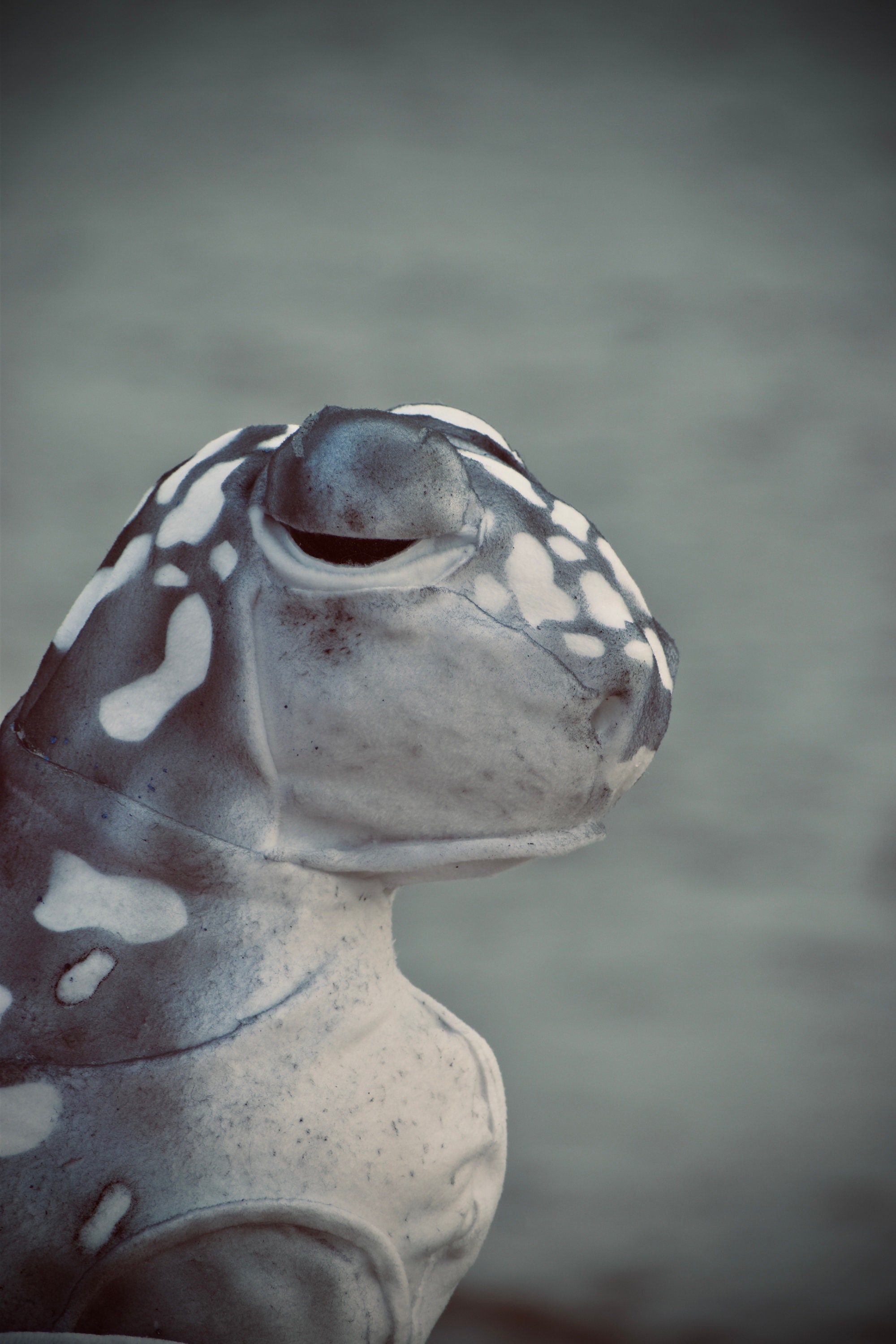 Custom Blinking Waterdragon Puppet - Etsy