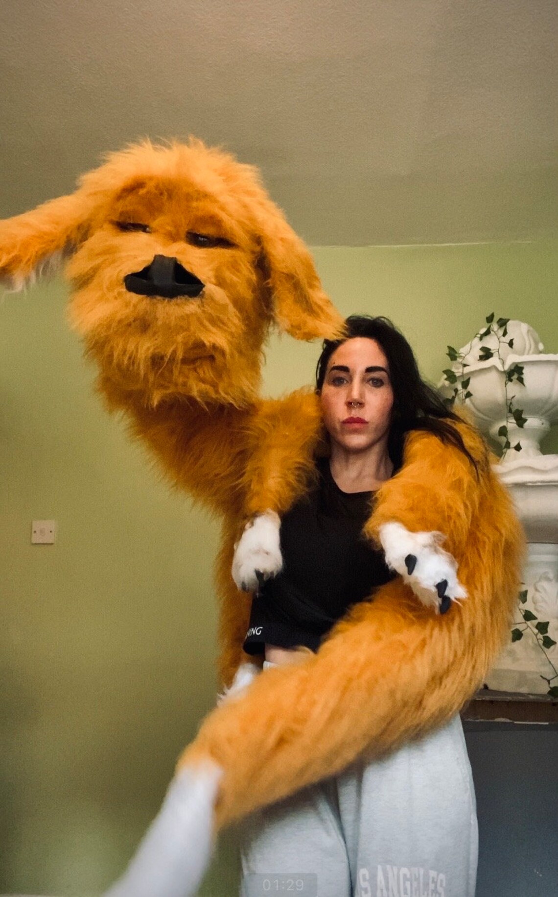 Made to Order Custom Blinking Shoulder Pets - Etsy