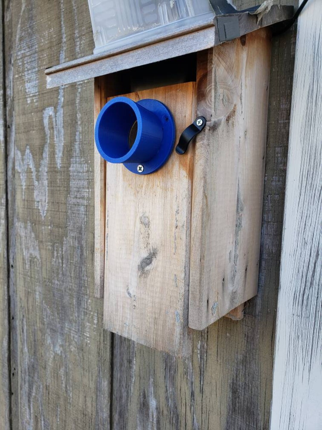 Birdhouse Predator Guard 1 Opening. Attracts Cavity Birds Bluebird ...