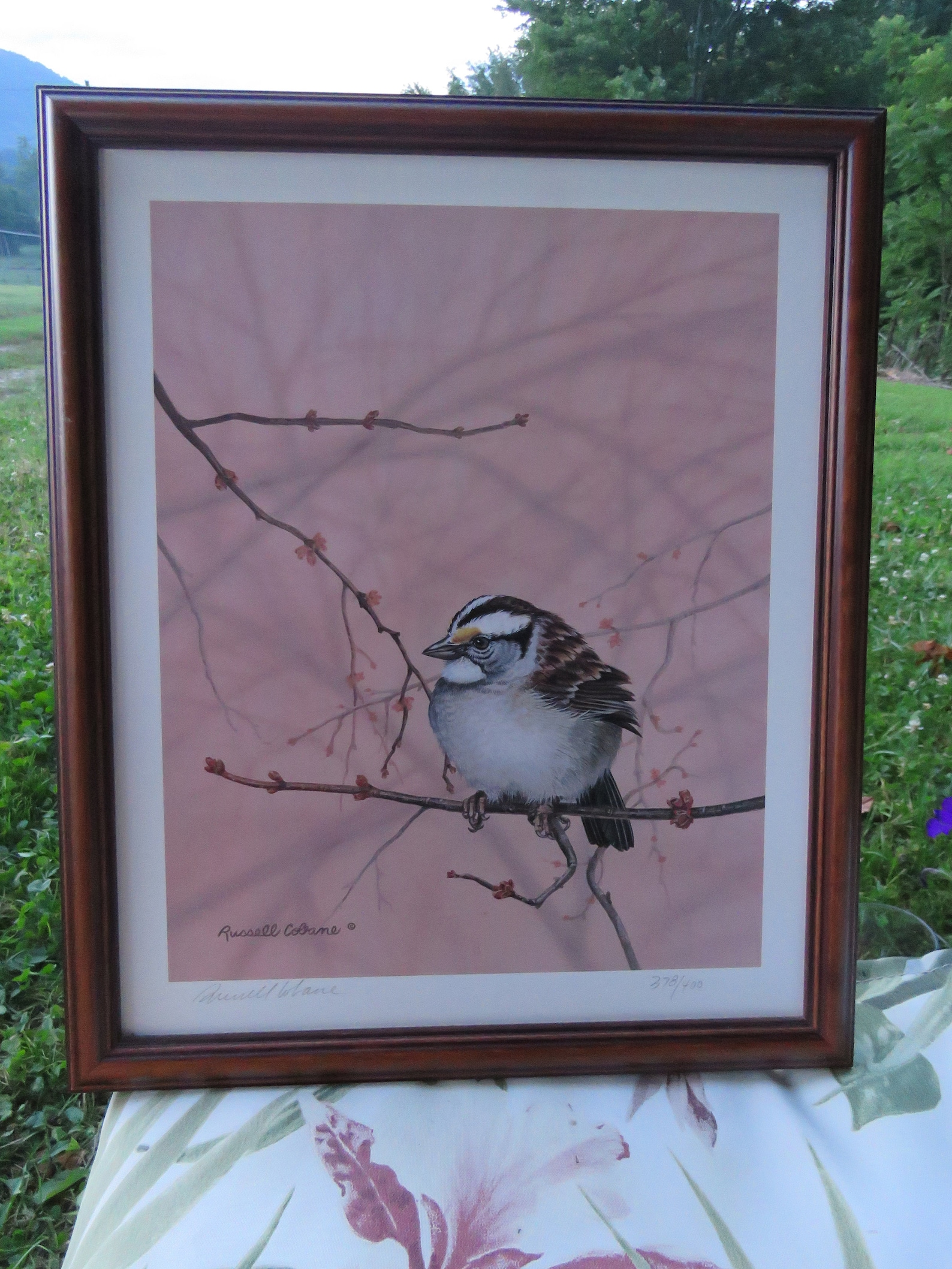 Russell Cobane Limited Edition Artwork symphony for - Etsy