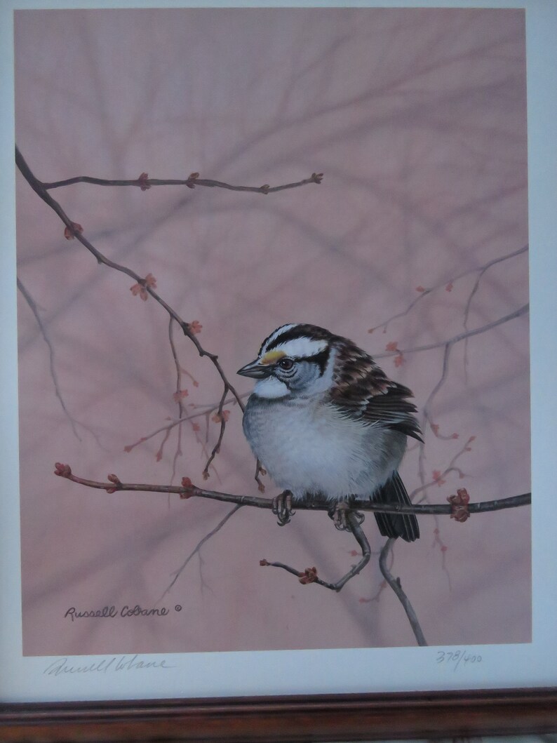 Russell Cobane Limited Edition Artwork symphony for - Etsy