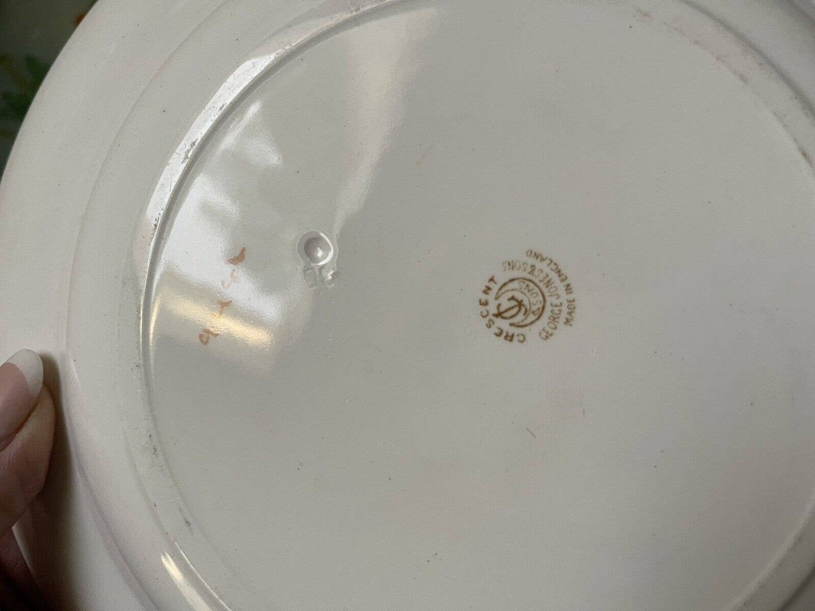 Antique George Jones and Sons 7pc Fish Trout Plate Set - Etsy