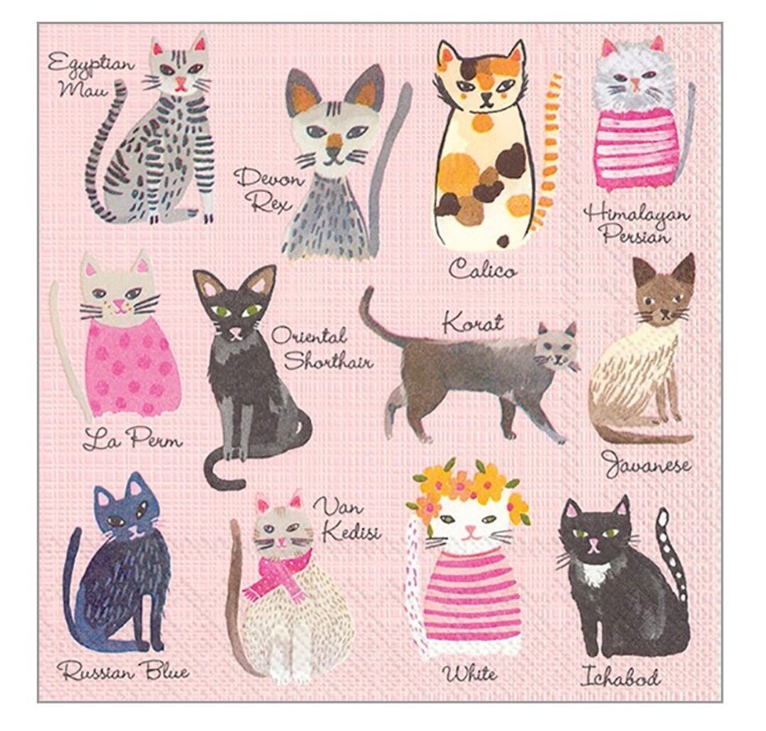 Cool Cats Cocktail Napkins, Cat Party, Kitten Party, Set of 20 Napkins ...