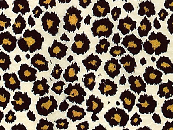 Leopard Print Tissue Paper Set of 12 20 X 30 Sheets - Etsy