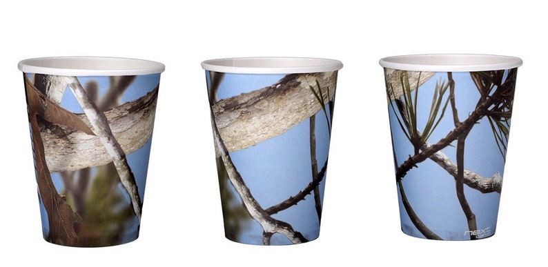 Blue Camo 12 Oz. Paper Cups, Set of 8, Baby Buck Shower, Buck or Doe ...