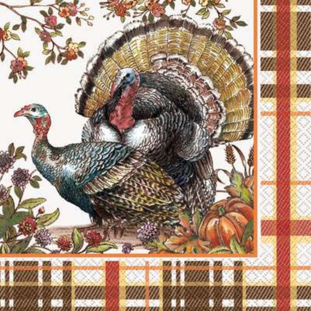 Plaid Turkey Luncheon Napkins, Fall Party, Thanksgiving Table, Set of ...
