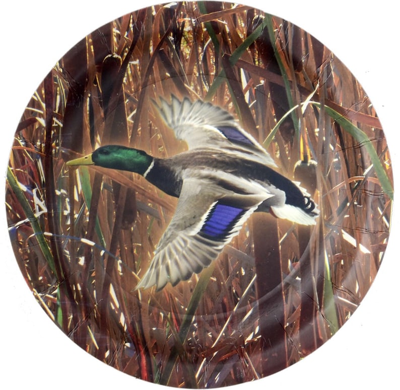 Duck Pond 7” Dessert Plates, Set of 8, Mallard Paper Plate, Retirement ...