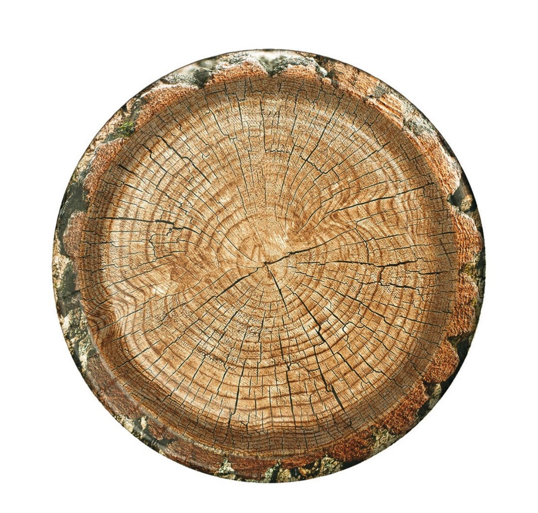 Cut Timber Dessert Plates, Lumberjack Party, Set of 8 Plates - Etsy