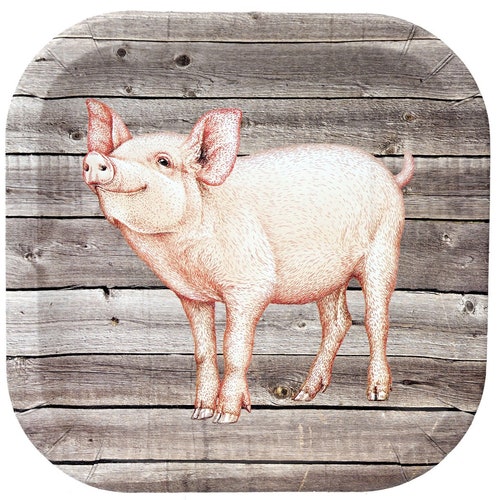 Barnwood Pig Square Dinner Plates Farm Party Set of 8 Plates - Etsy