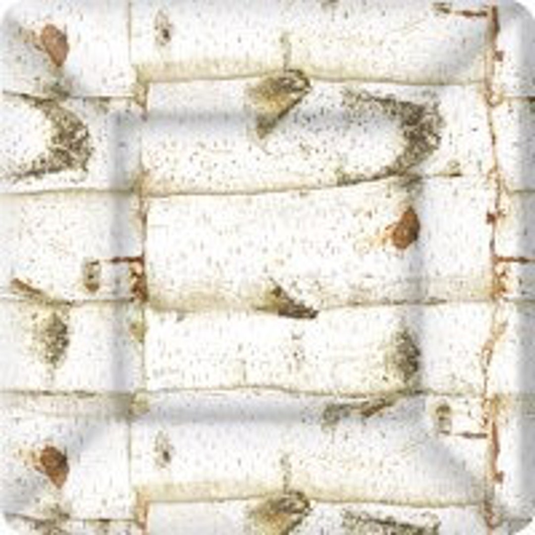 Birch Tree Square Dinner Plates, Lumberjack Party, Set of 8 Plates - Etsy