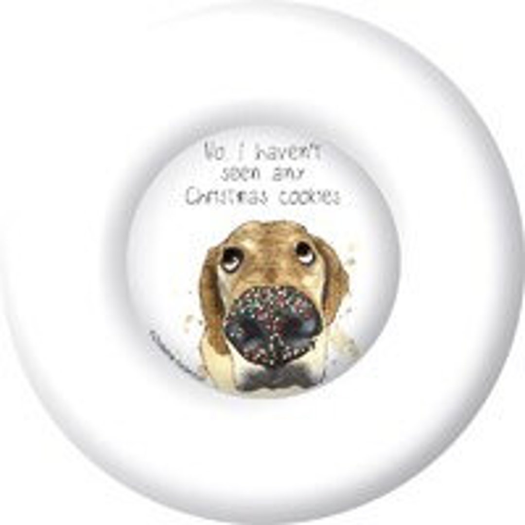Dog Christmas 8” Plates, “no I Haven’t Seen Any Christmas Cookies”, Set ...