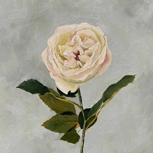 Juliet Rose Plant - Etsy