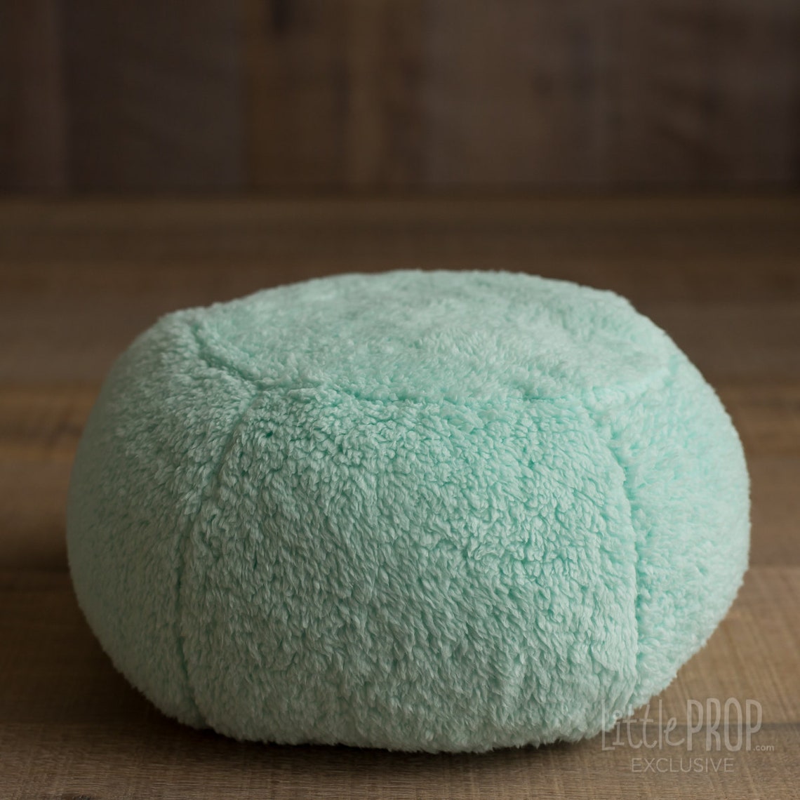 Little Puff Cover and Outfit Bundle Teal Flowers Sitter - Etsy