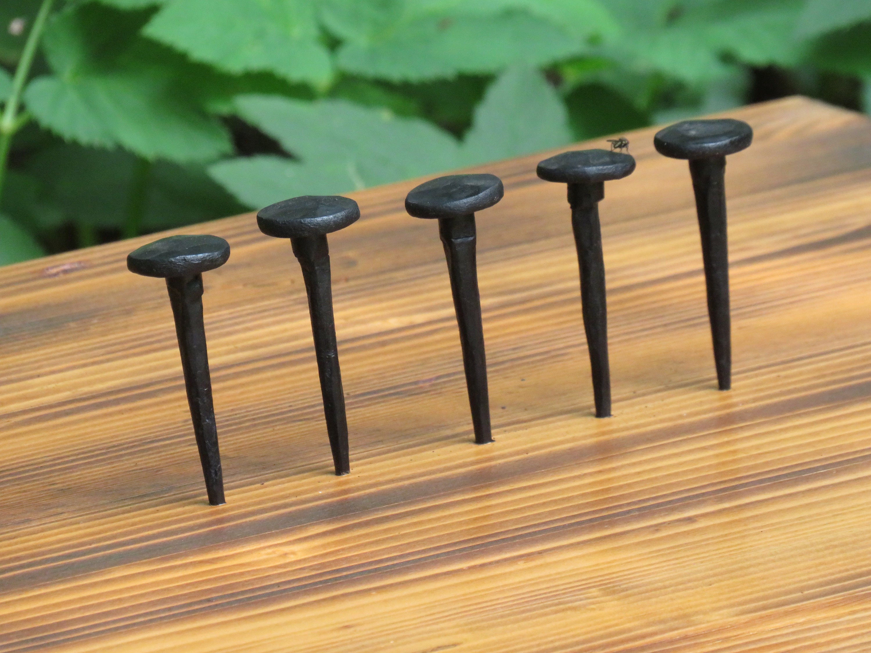 Set of 5 Hand Forged Nails Nail . | Etsy