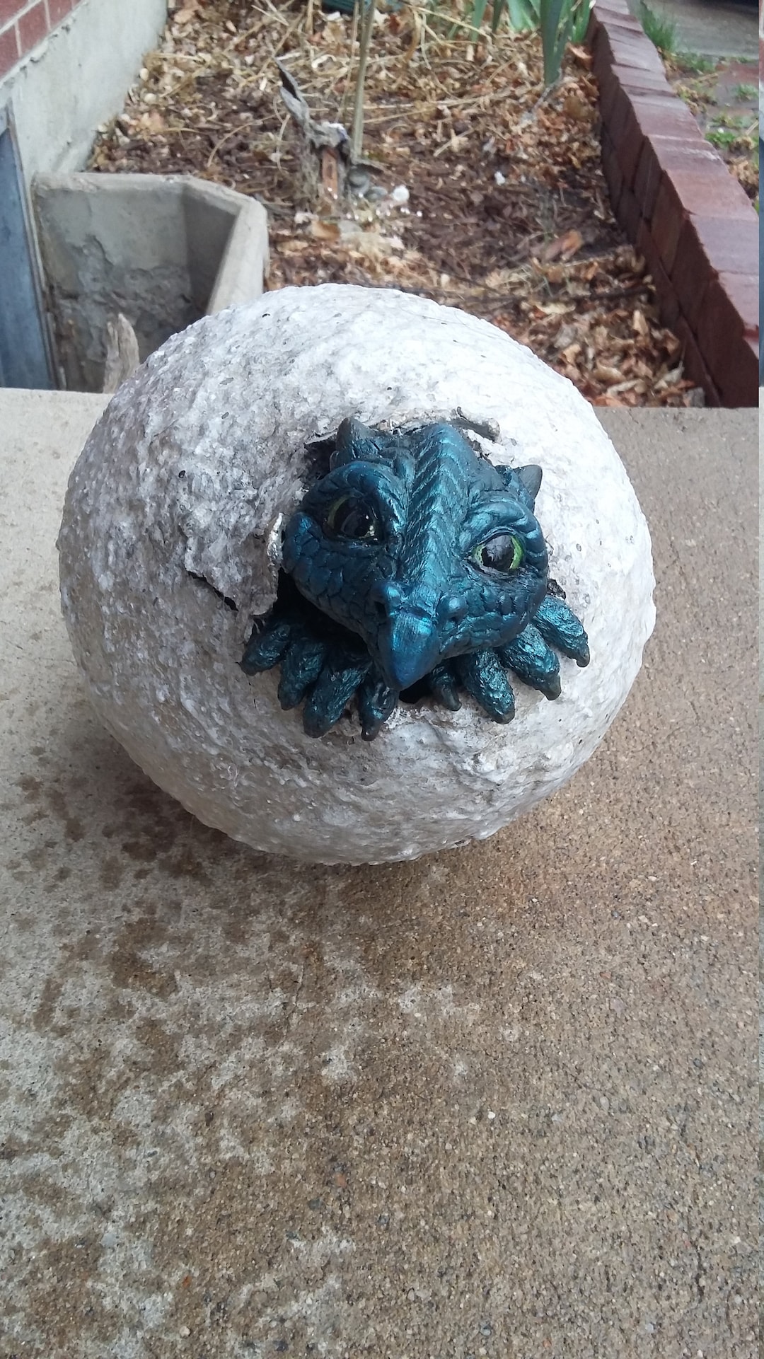 Blue Dragon Egg Hatchling - Etsy