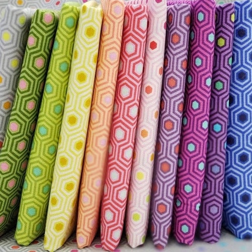 Tula Pink NEW True Colors Collection Bundle Precuts - Etsy