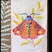 The Moth Quilt Pattern Tamara Kate - Aerial Fabrics by Windham - Etsy