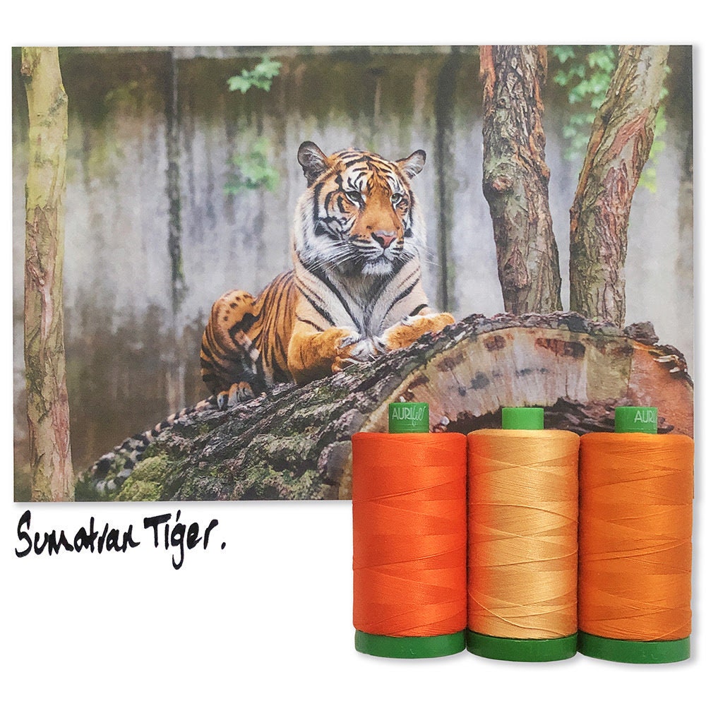 Aurifil - Color Builders - Choose a Month- Free Pattern and Embroidery ...