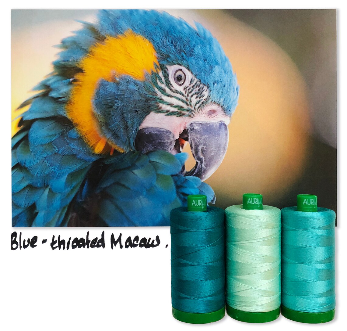 Aurifil - Color Builders - Choose a Month- Free Pattern and Embroidery ...