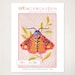 The Moth Quilt Pattern Tamara Kate - Aerial Fabrics by Windham - Etsy