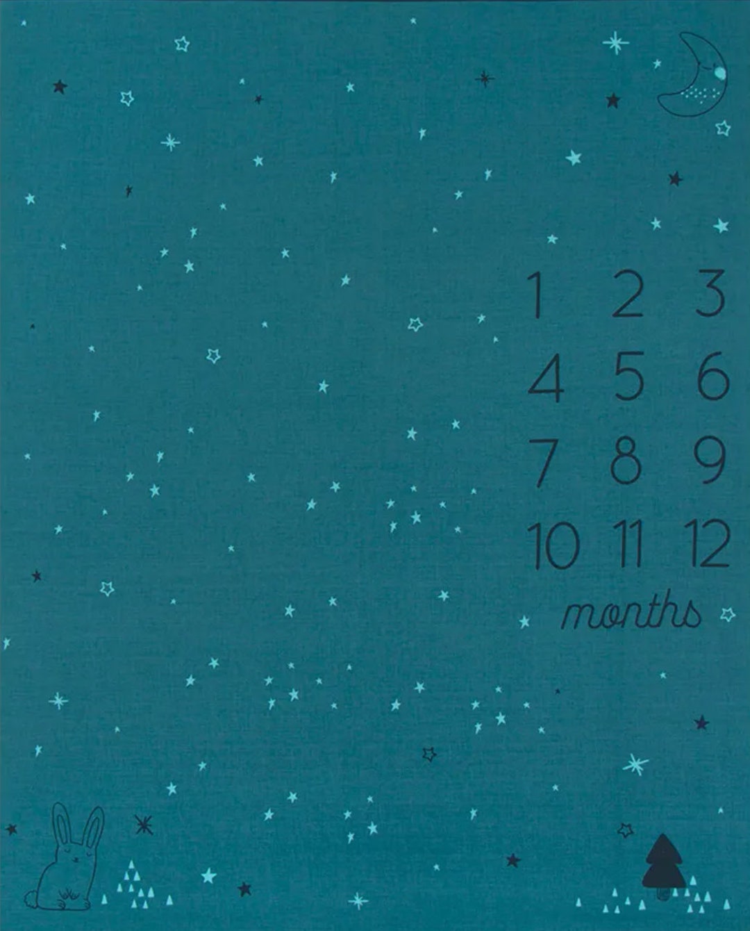 Ruby Star - Birthday - Panel Teal RS2043 12 - Etsy