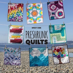 Preshrunk Quilts: 20 Mini Quilts Inspired by Carolina Patchworks ...
