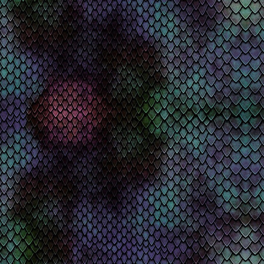 Timeless Treasures - Dragons Lair - TEXTURE-CD2443 - Etsy