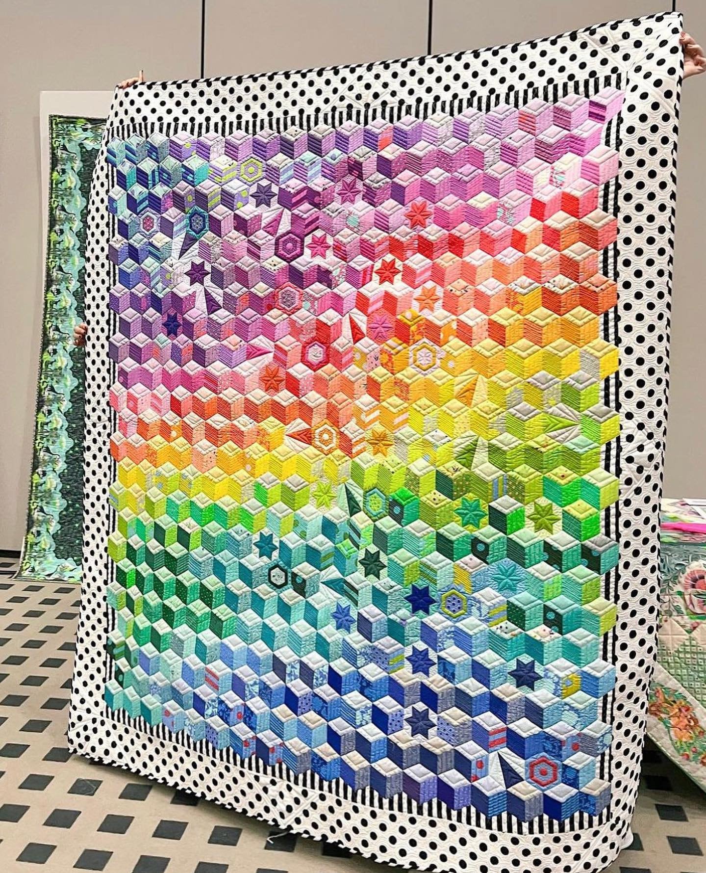 Tula Pink's - Tumbling Cosmos Quilt Pattern, Paper Pieces, and or ...