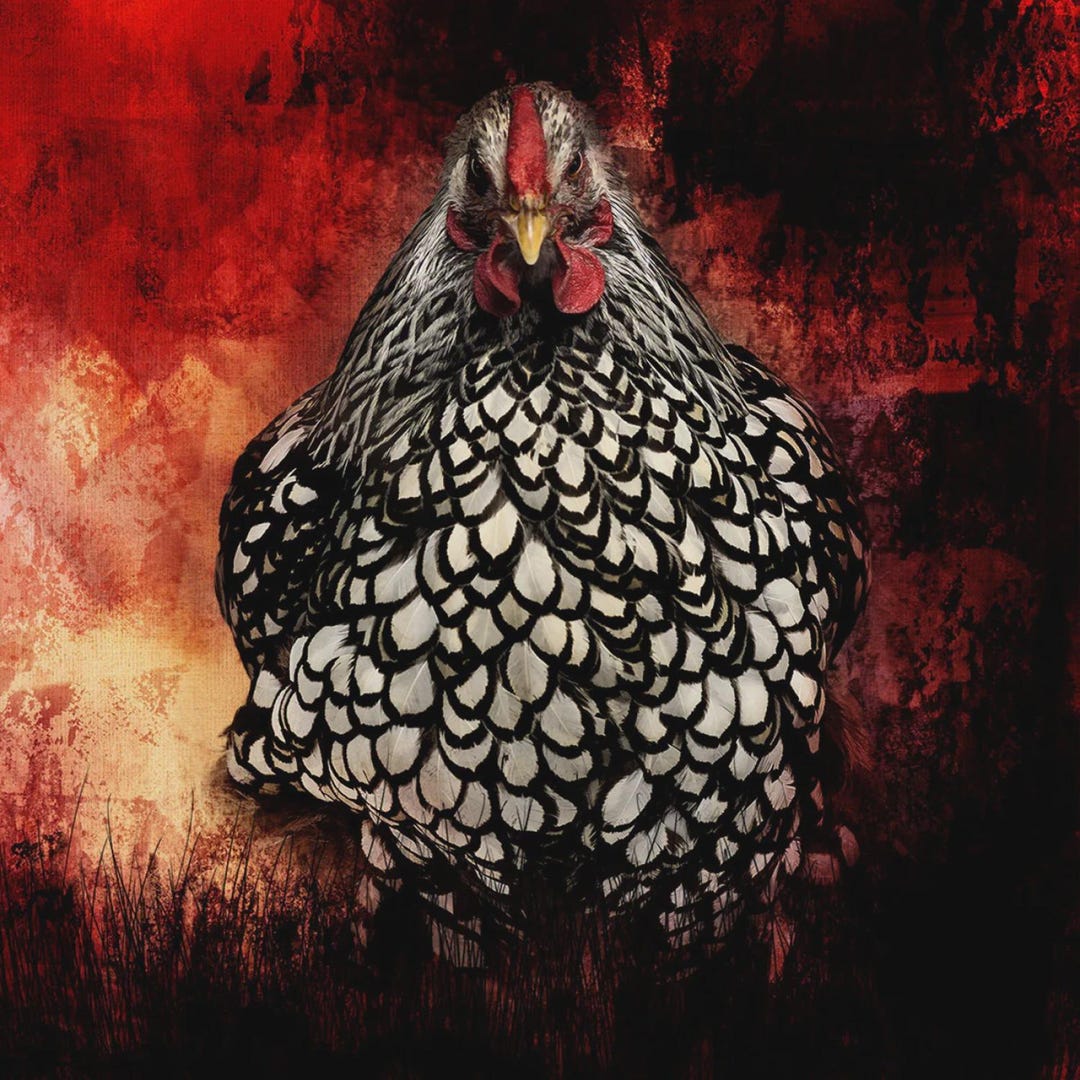 Focus on Fabric - Angry Chicken Fabric Panel - 18"x18" - 1 Panel - Etsy