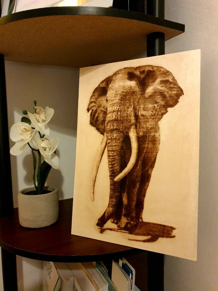 Elephant Image Burned on Wood Pyrography (A4 Size ) - Etsy