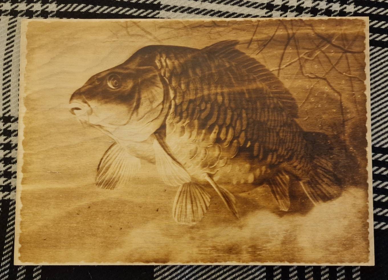 Mirror Carp Image Burned on Wood Pyrography A4 Size - Etsy UK