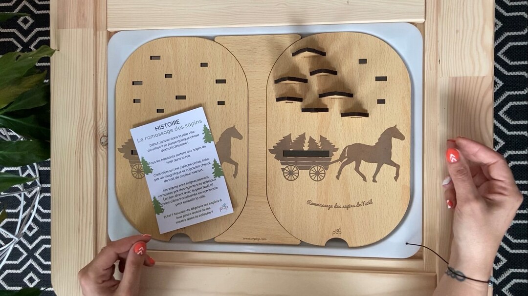 Insert Trofast the History of Fir Trees - Etsy