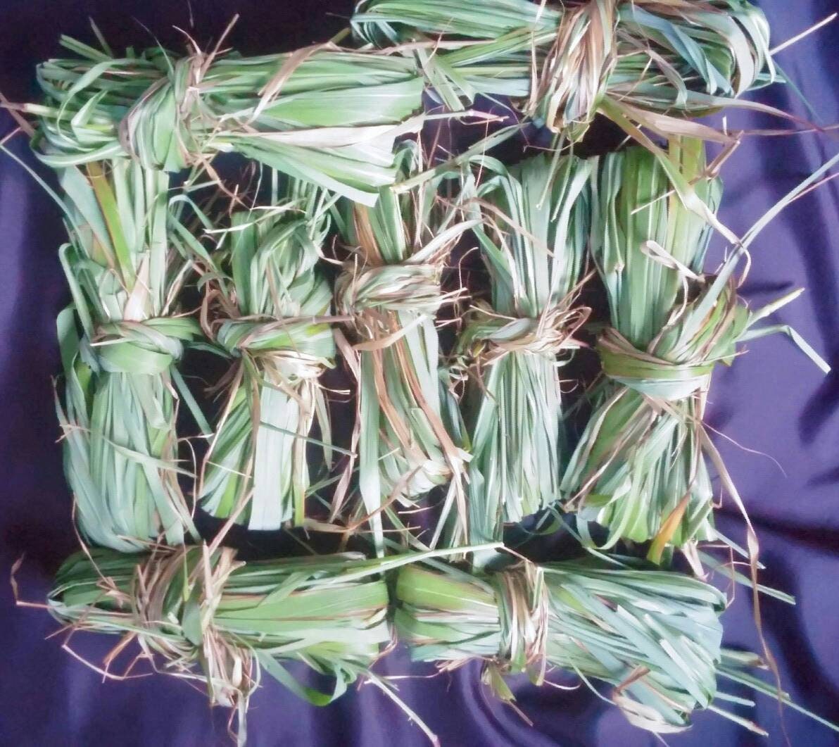Fever grass fever grass herb . 50 leaves per tie . Herbal | Etsy