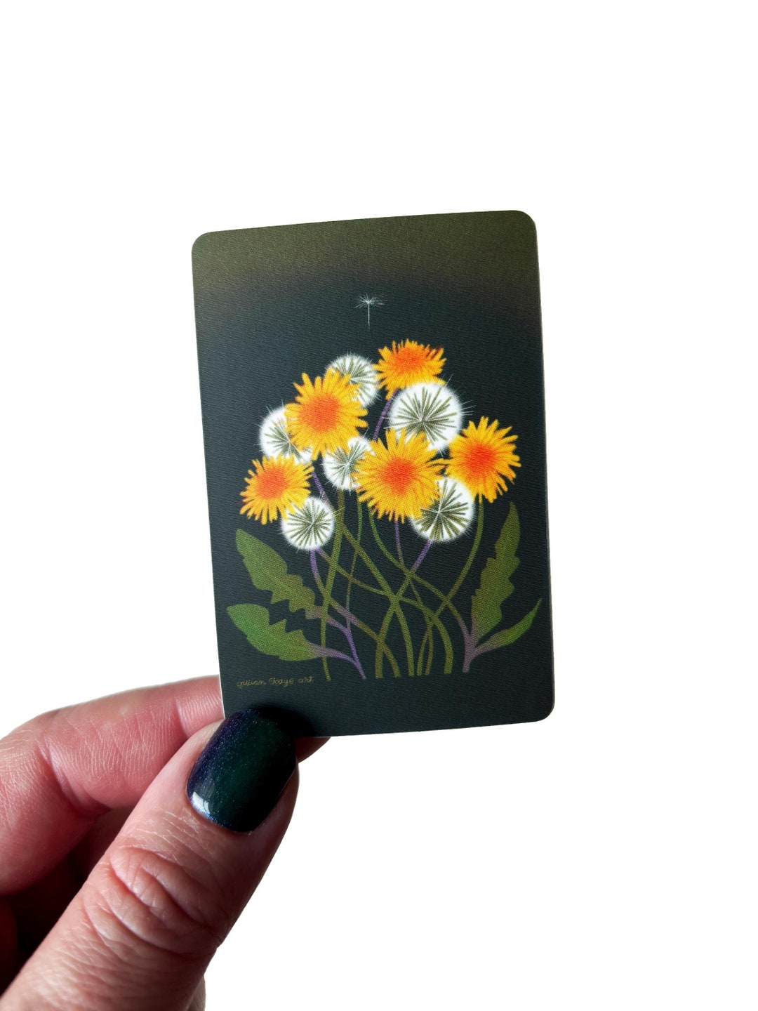 Dandelion Wish | 3" Vinyl Sticker, Dandelion Flower, Weed Appreciation ...