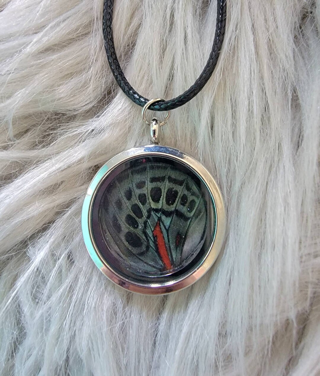 Real Butterfly asterope Optima Double Sided Pendant - Etsy