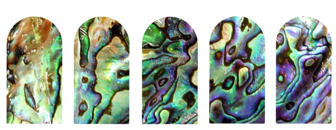 Abalone Shell Nails - Etsy