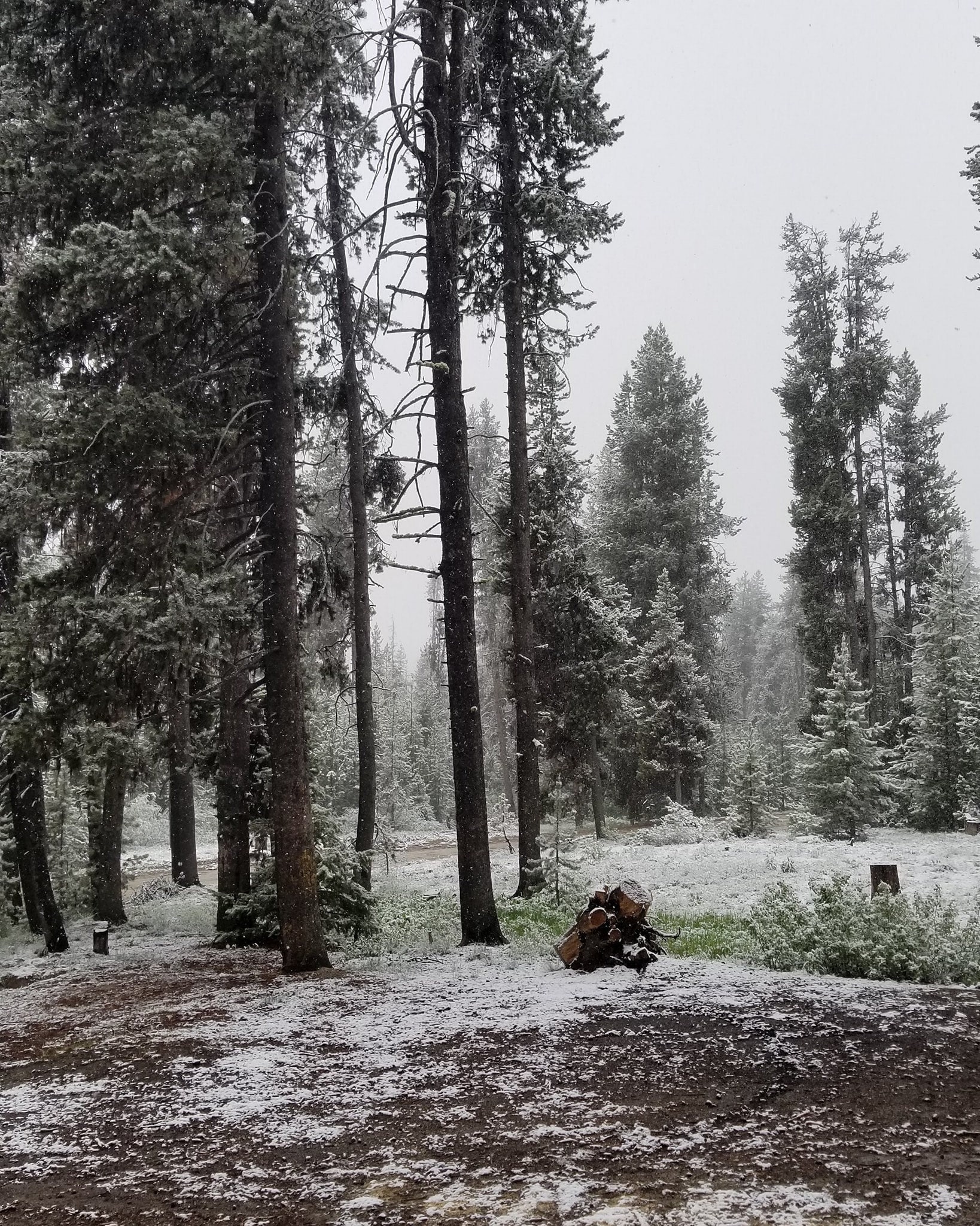 Snowy Summer Photo Print - Etsy