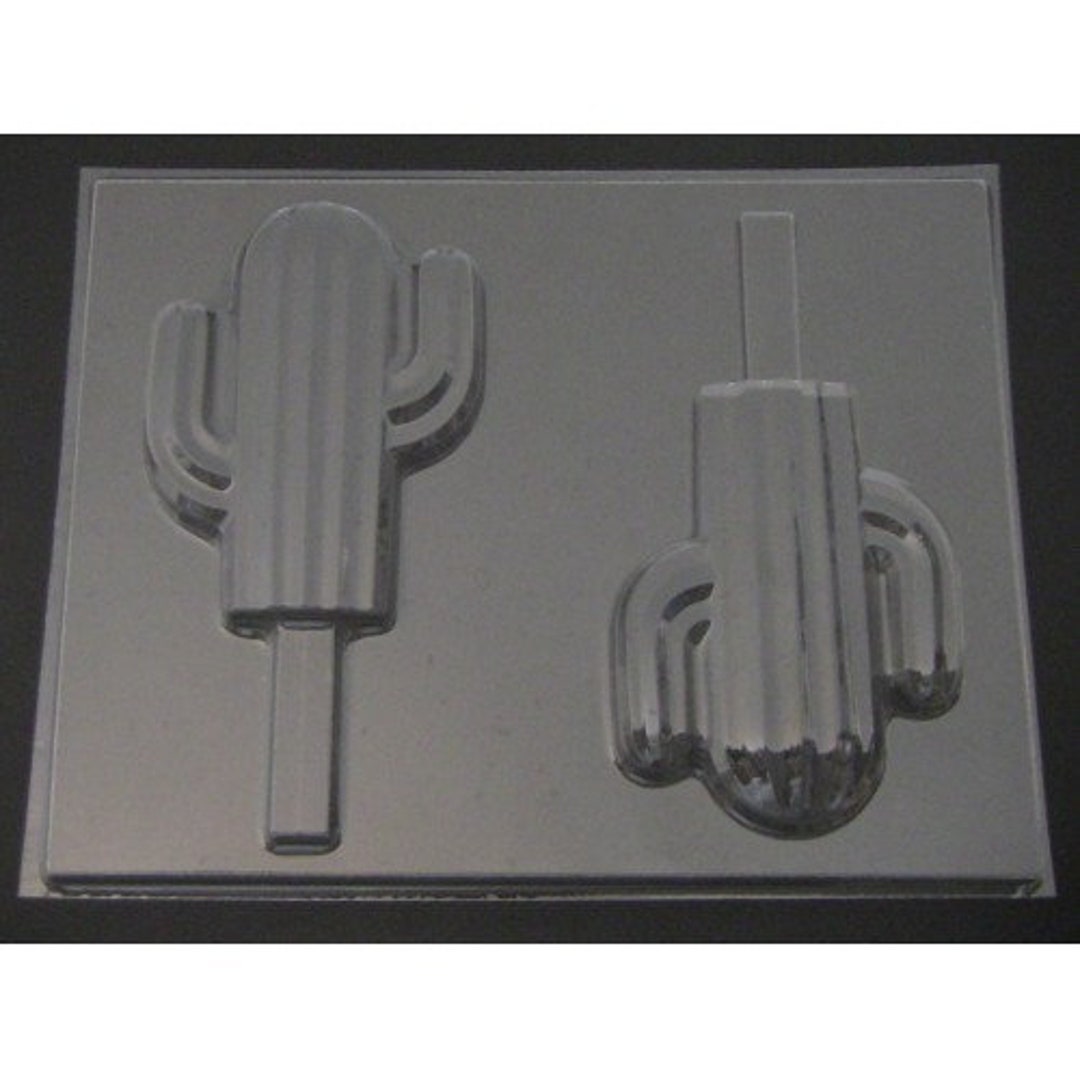 538 Cactus Flower Desert Chocolate Candy Lollipop Mold - Etsy