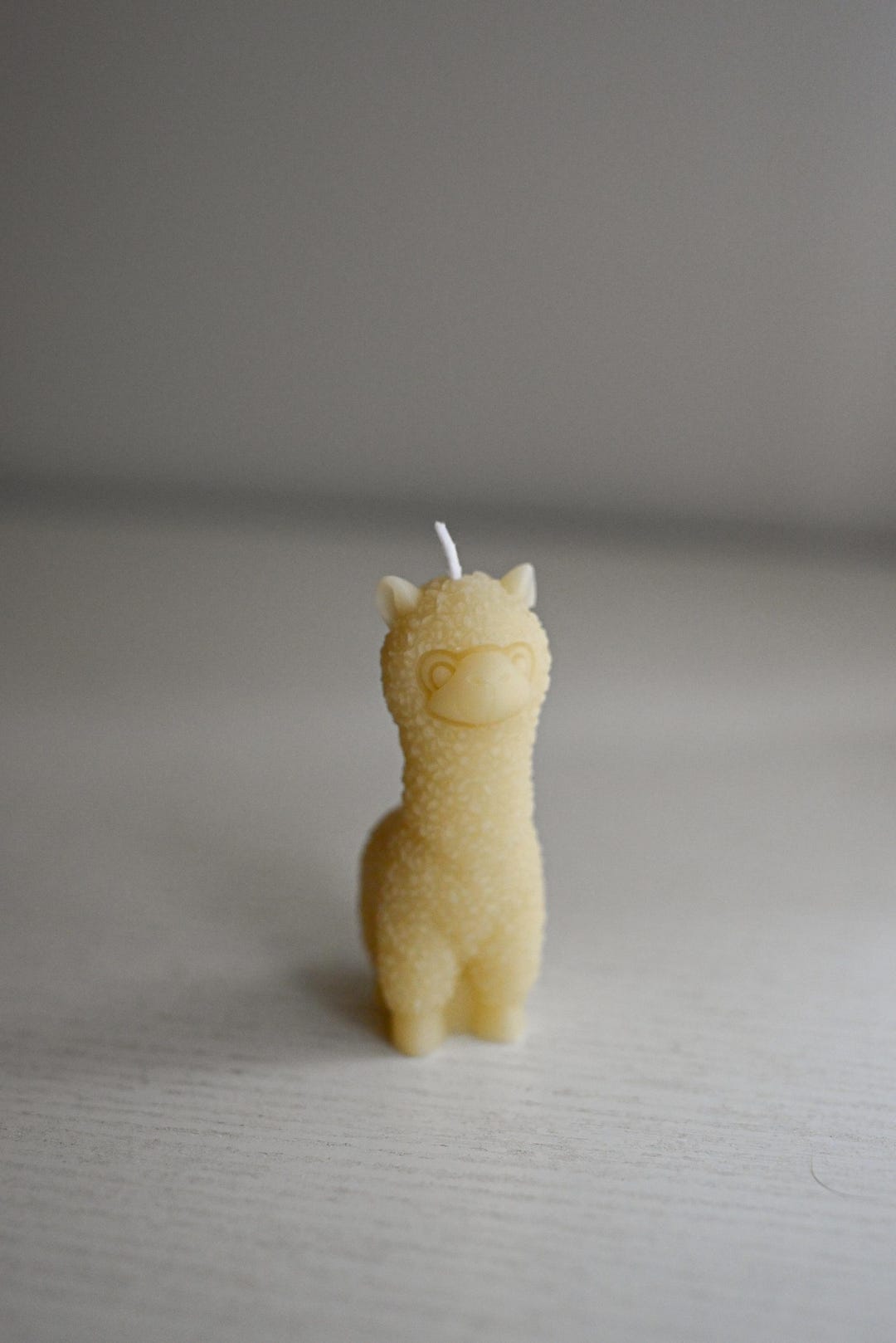 Alpaca Candle, Lama Candle - Etsy