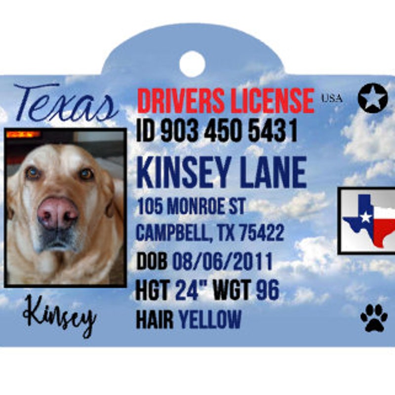 Dog Driver License - Etsy