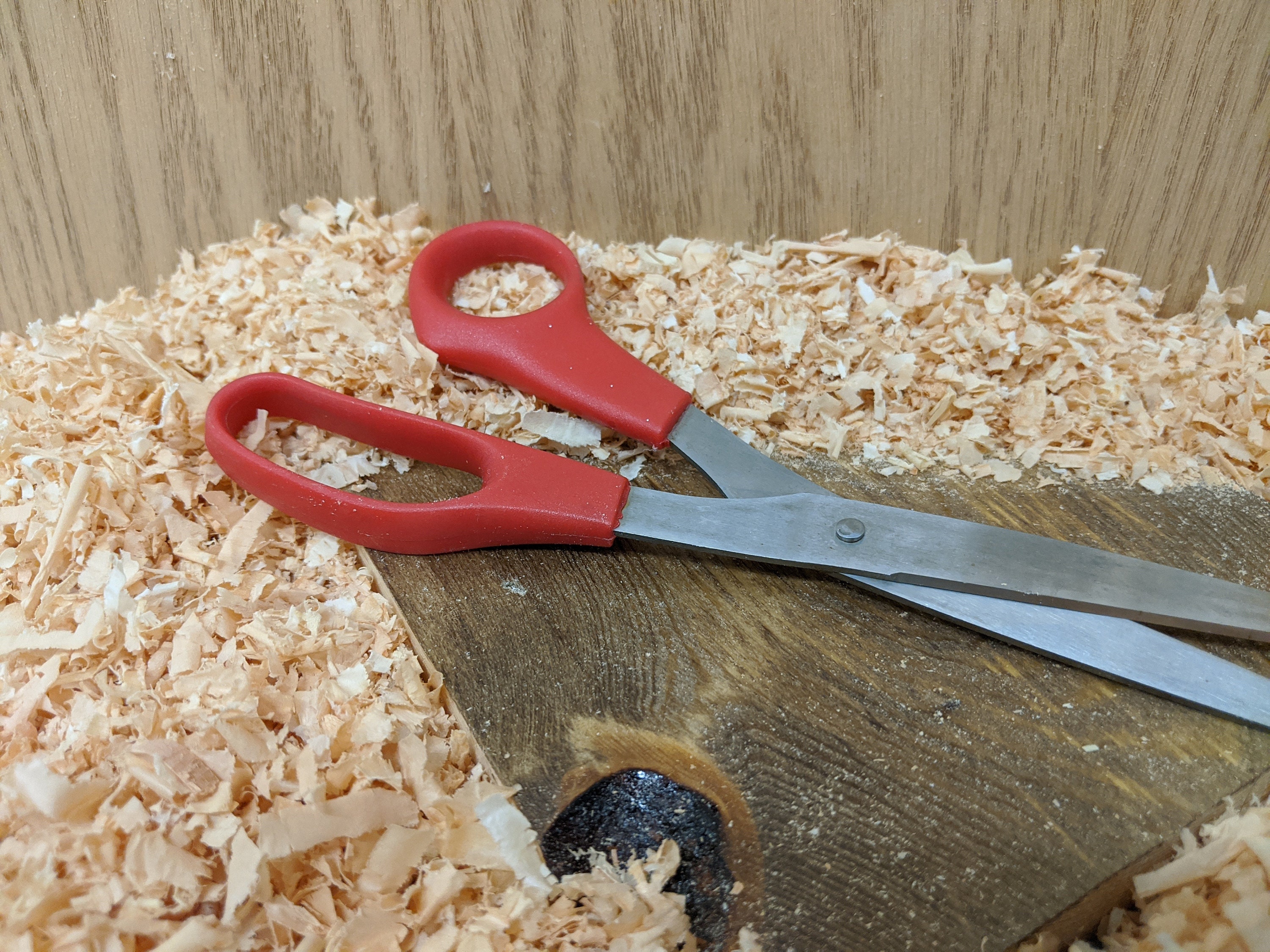 Hardwood Sawdust ~ Farm Fresh Organic ~ 1 GALLON BAG ~ Traditional ...