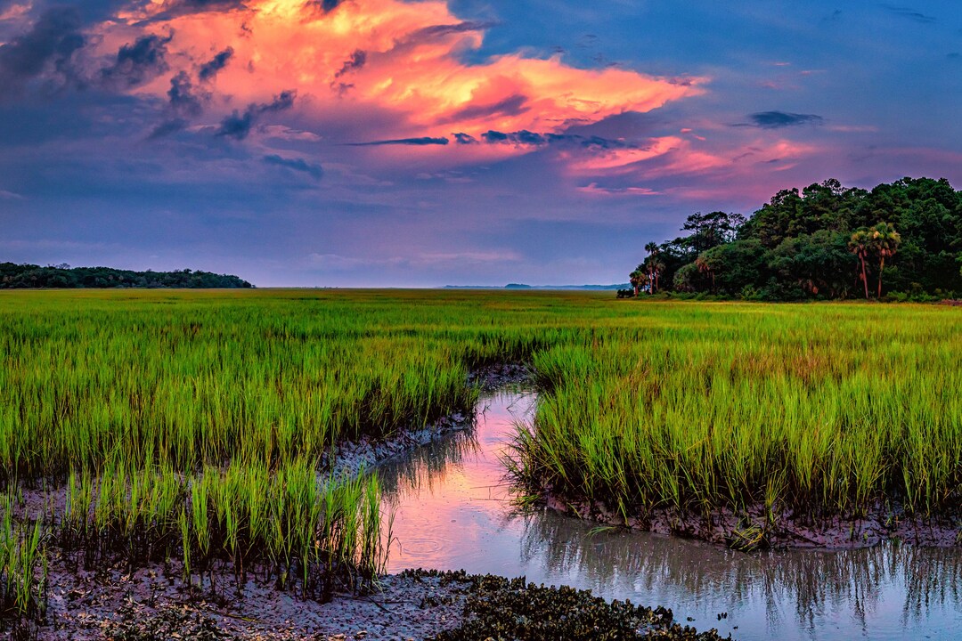 Botany Bay | Photograph | Water, Purple, Sky, Clouds, Sunrise, Sunset ...