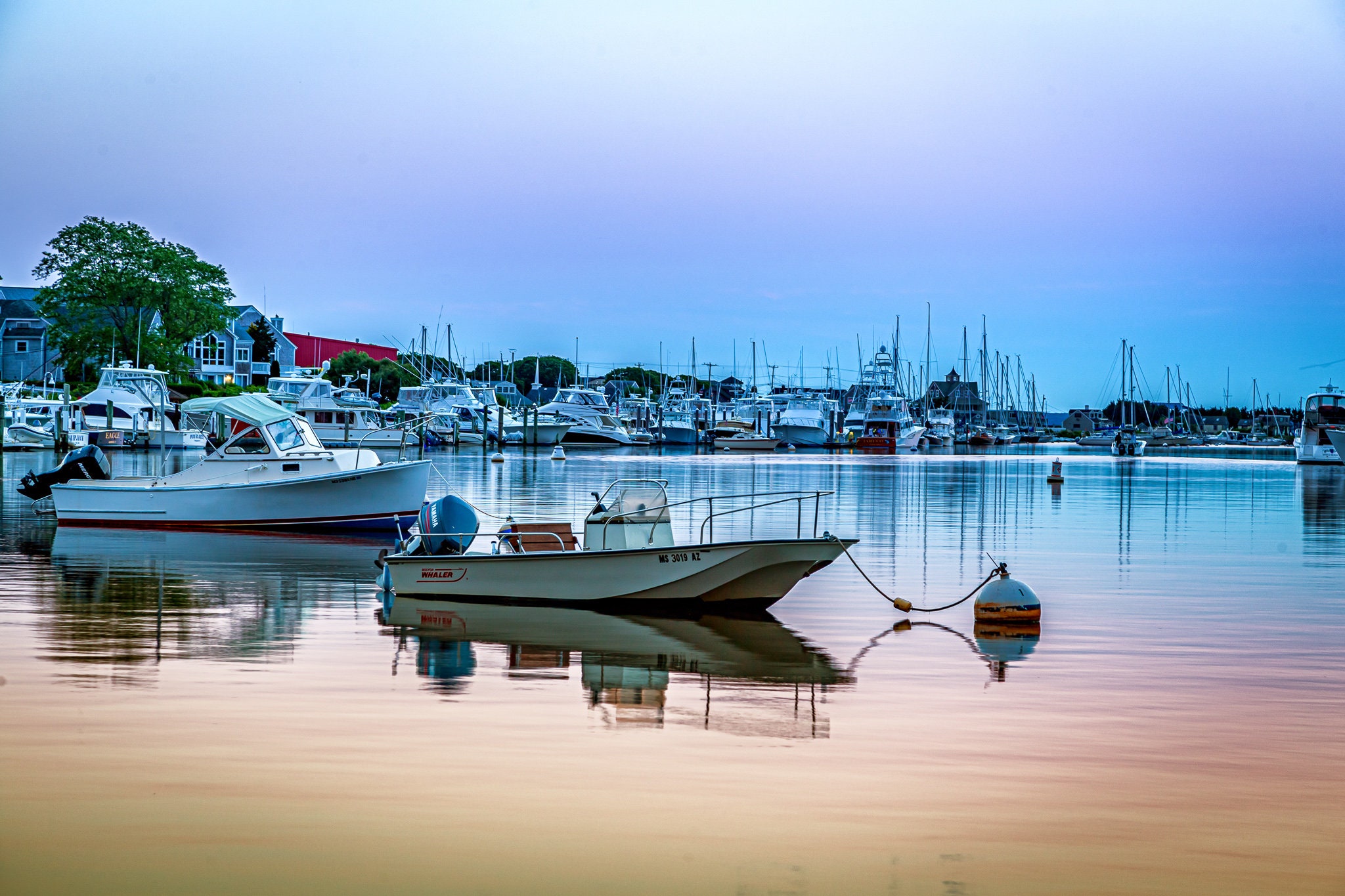 Falmouth Harbor Cape Cod | Photograph | Cape Cod, Massachusetts ...