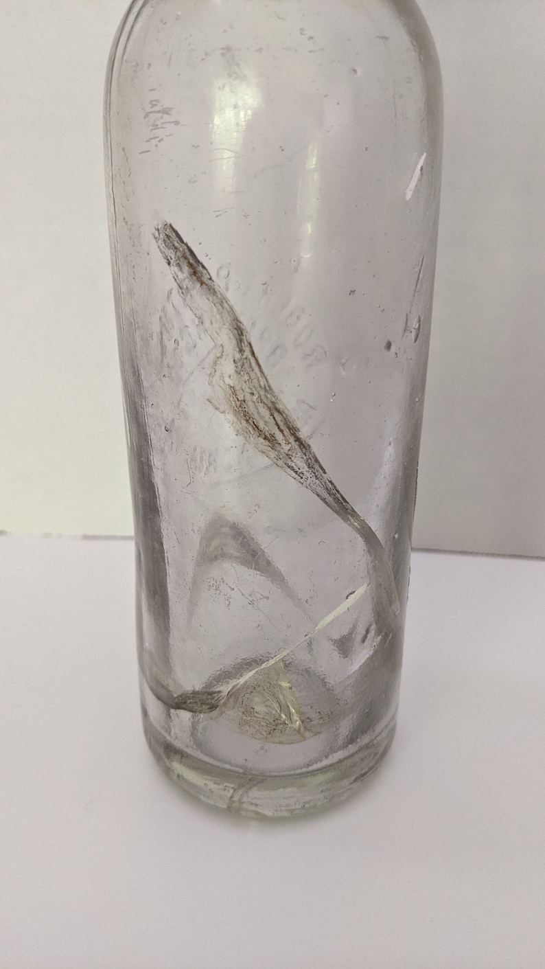 1865-1916 Tivoli Beer Bottle Robert Portner Brewing Alexandria - Etsy