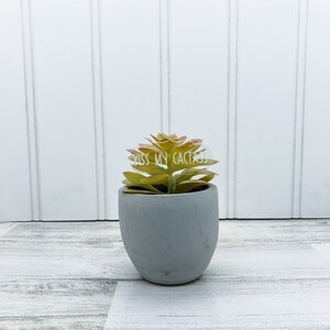 Funny Plant Tags Inappropriate Plant Names Indoor Plant | Etsy