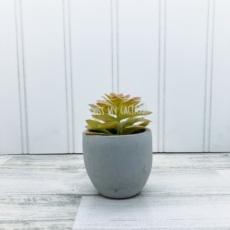 Funny Plant Tags - Inappropriate Plant Names - Indoor Plant Stakes ...